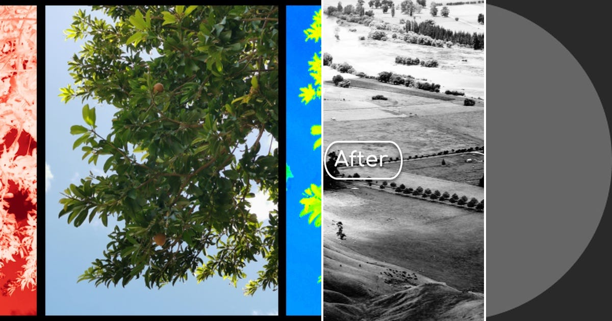 List: Image processing | Curated by Mohammadwhedy | Medium