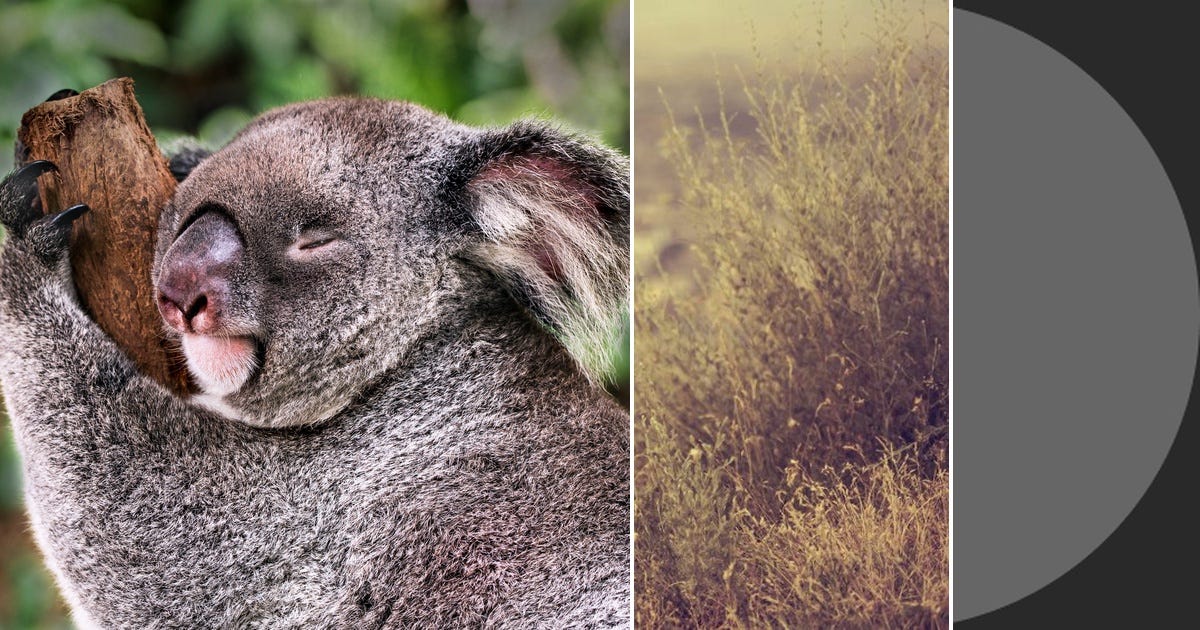 List: Lifestyle | Curated by Eren Ercan | Medium