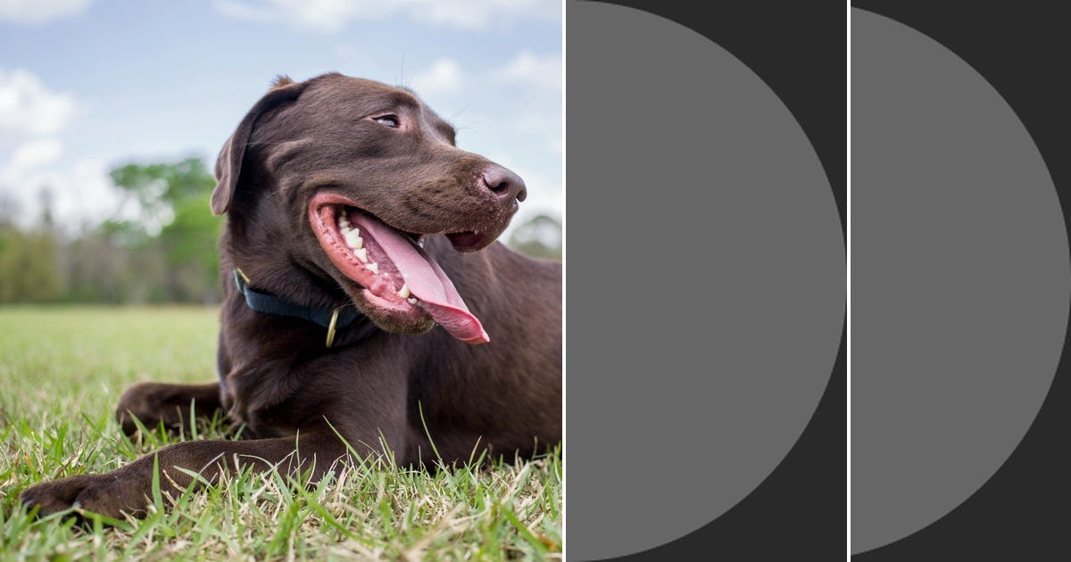 List: Reading list | Curated by Tommi Carroll | Medium