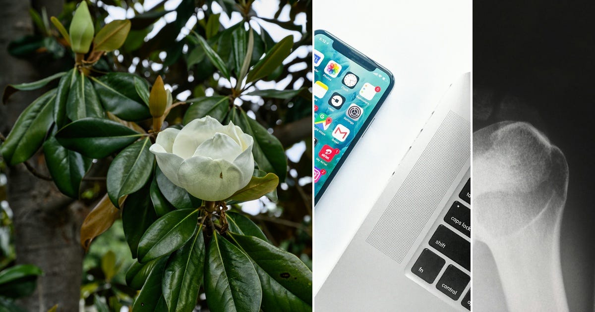 List: Masterclasses | Curated by moin udb | Medium