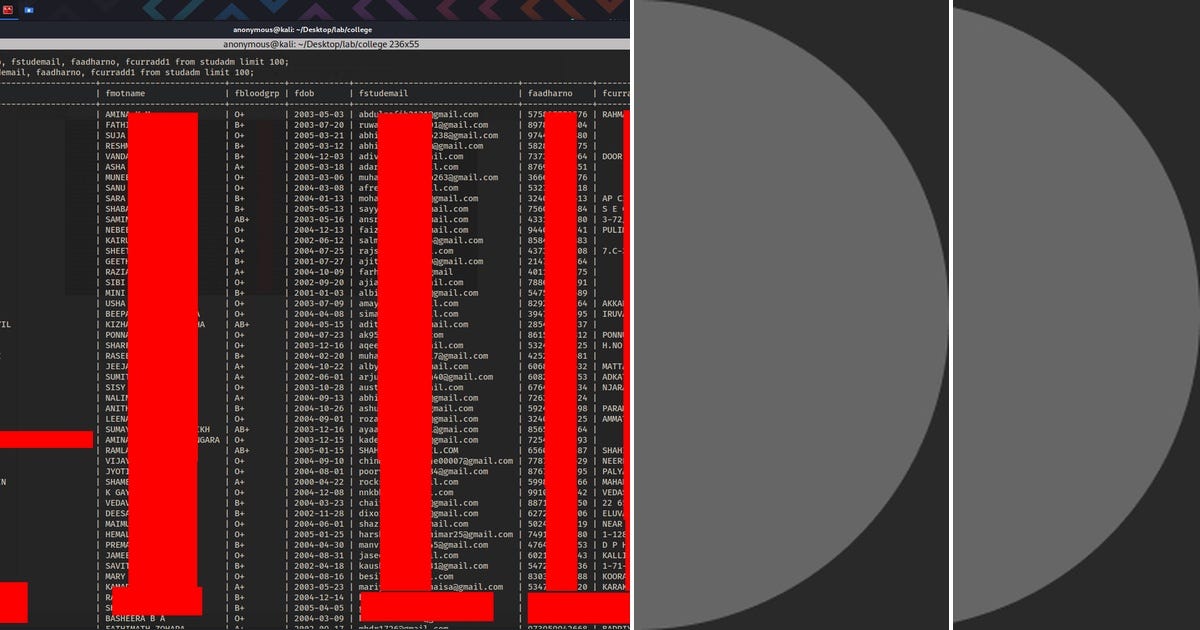 List: Bug hunting | Curated by Ammar Ghamry | Medium