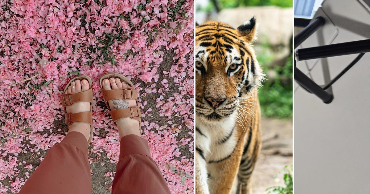 List: Lamb's Lust List Stories | Curated by Littlelustlamb | Medium