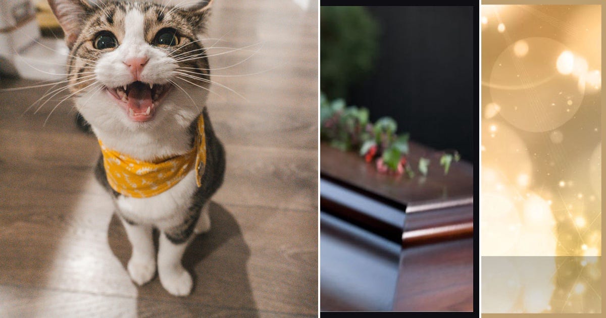 List: Funny Burials, Caskets, Markers, Headstones, Coffins | Curated by ...