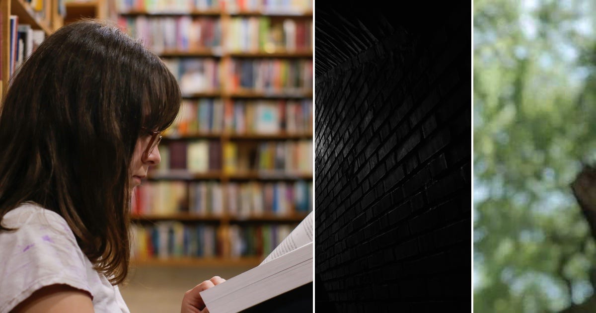 List: Reading | Curated by Ilerioluwakiiye | Medium