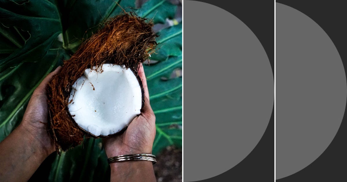 List: Shell | Curated by Manish Sama | Medium