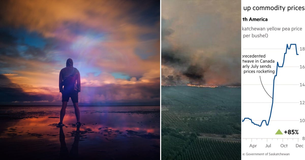 List: Collapse Is Already Here — And It’s Spreading | Curated by John Rogers | Medium