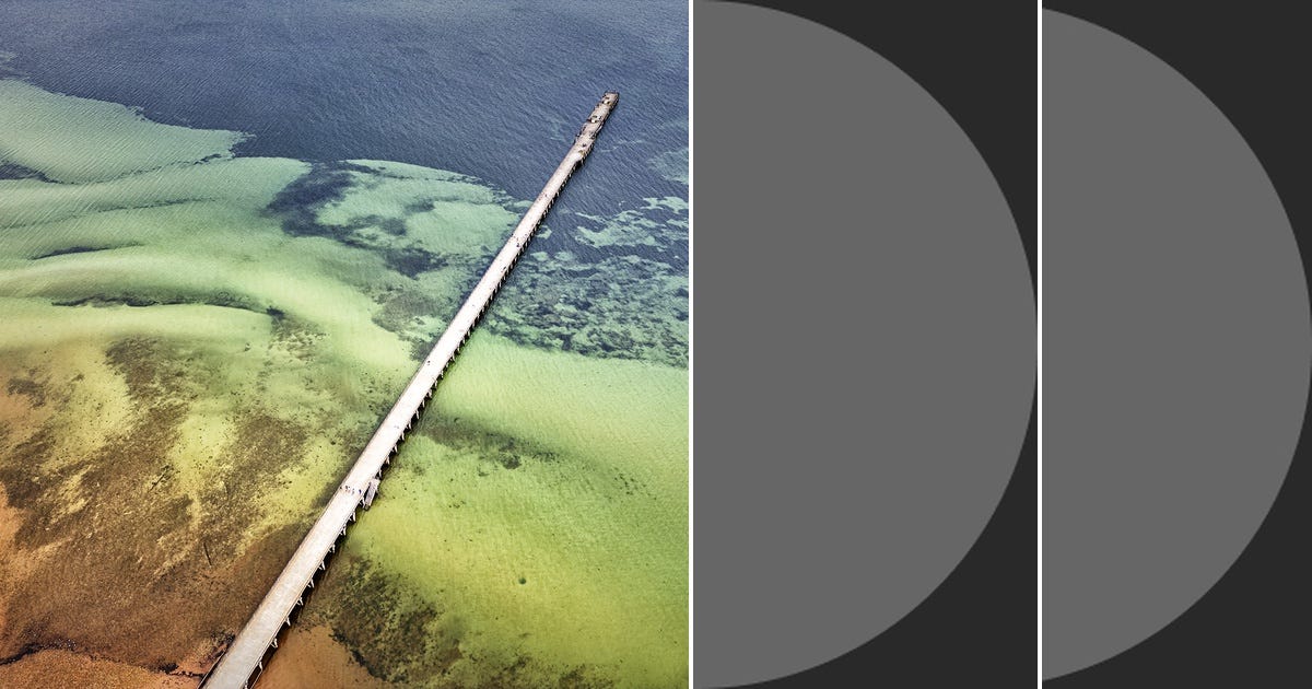 List: Photography Tips | Curated by Moira Beaton | Medium