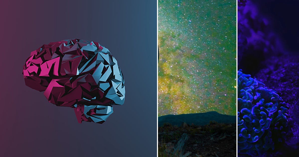 List: Lombardo - subconscious | Curated by James Tusk | Medium