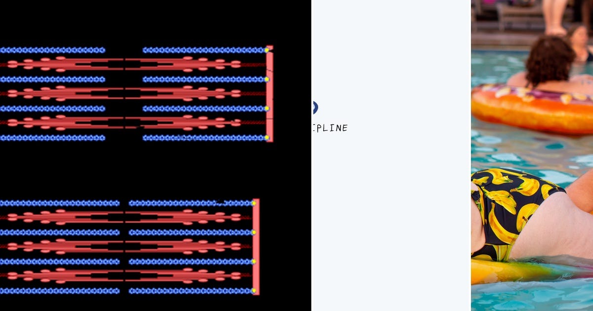 List: Health Fitness & Longevity | Curated by Nikki Gregory | Medium