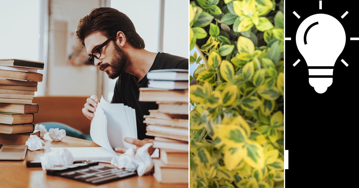 List: Advice for professional medium authors | Curated by April ...