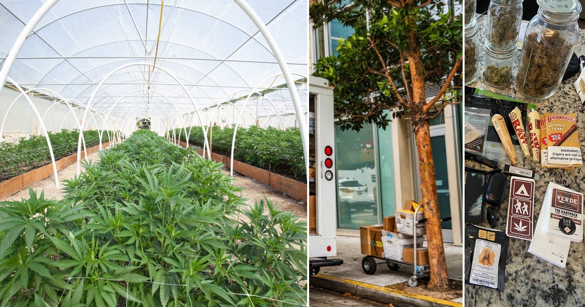 List: Mary Jane | Curated by sammie tafa | Medium