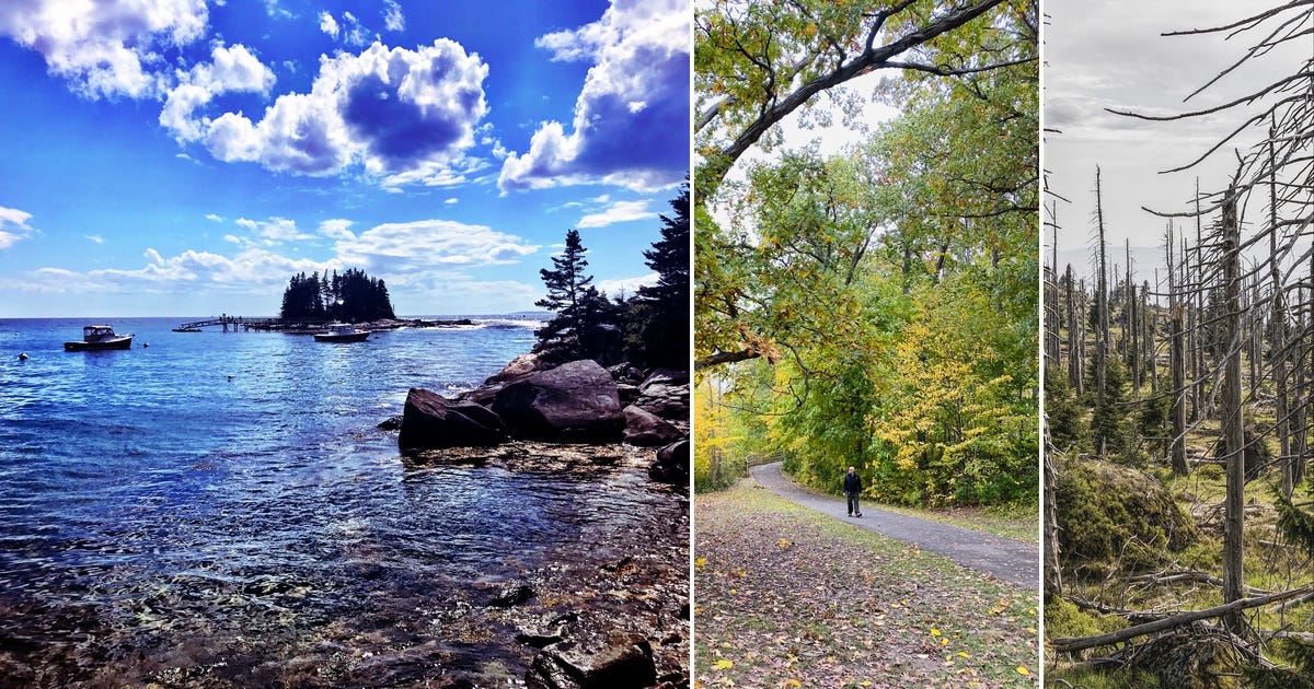 List: environment | Curated by Joe Beauchamp | Medium