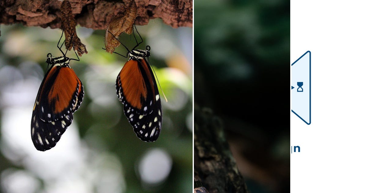 List: Regenerative design | Curated by Layla H | Medium