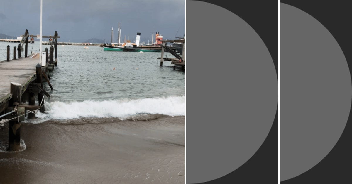 List: swimming | Curated by John Lennox | Medium