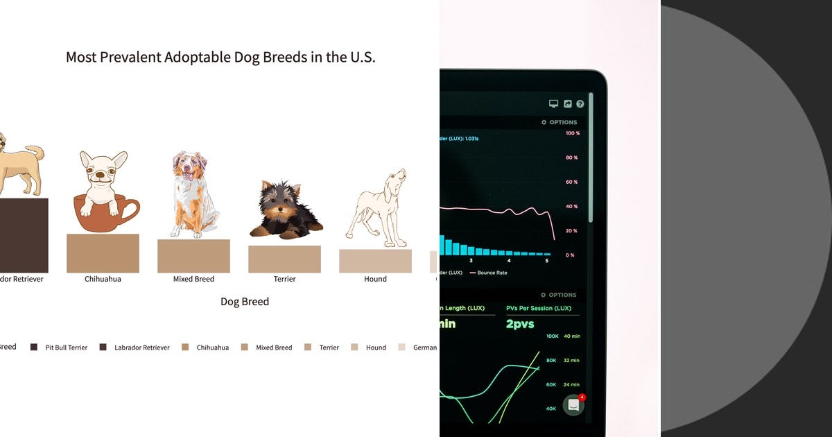 List: Data Visualization | Curated by Elizabethbarwick | Medium