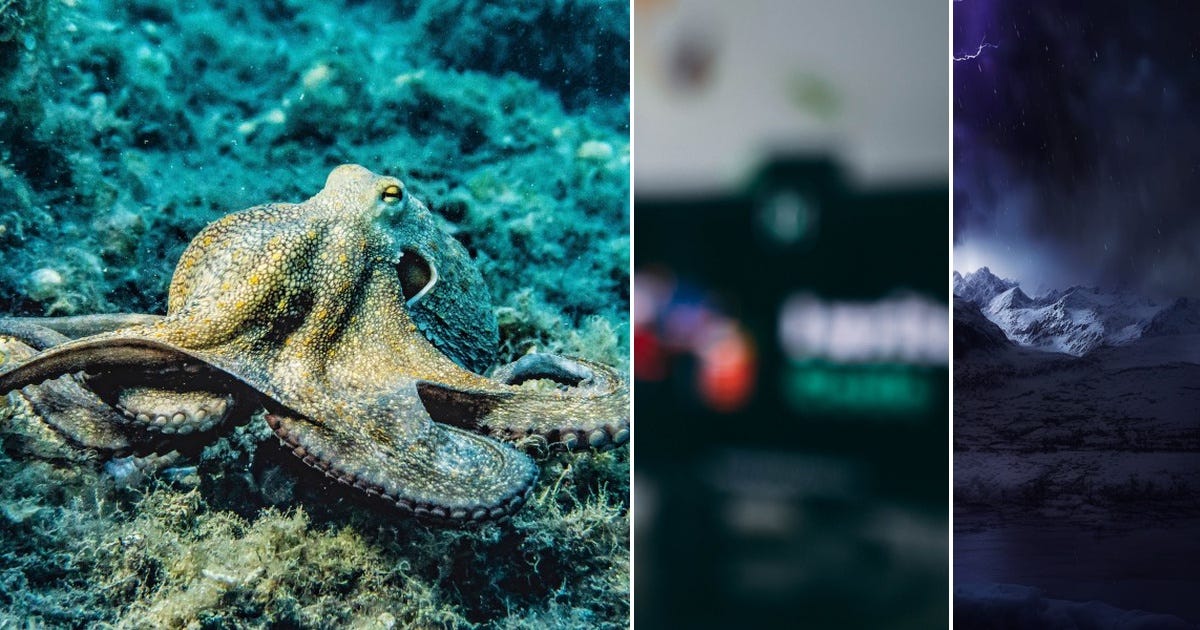 List: Python Tricks | Curated by Cheng-Chu Chung | Medium