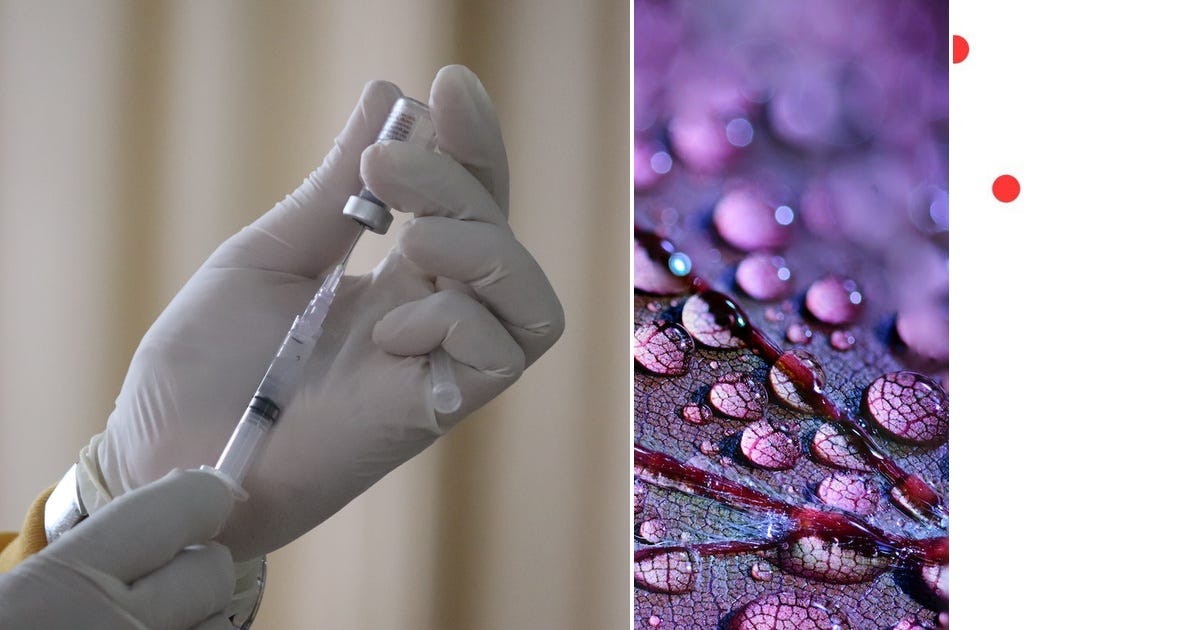 List: Casual Inference | Curated by Sasha Xander Svet | Medium