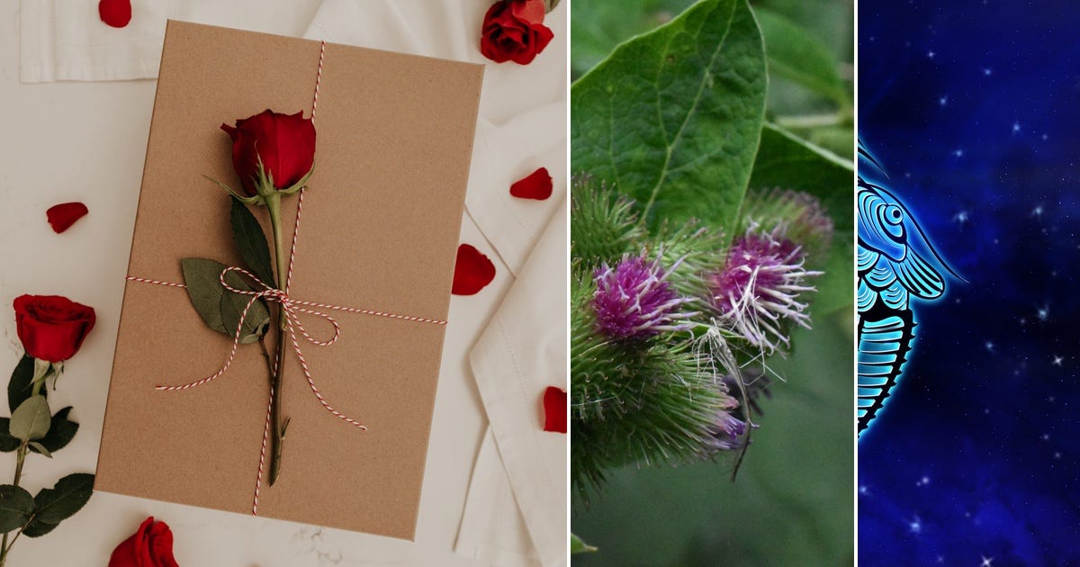 List: Melia Morgan | Curated by Vincent Z. Whaley | Medium