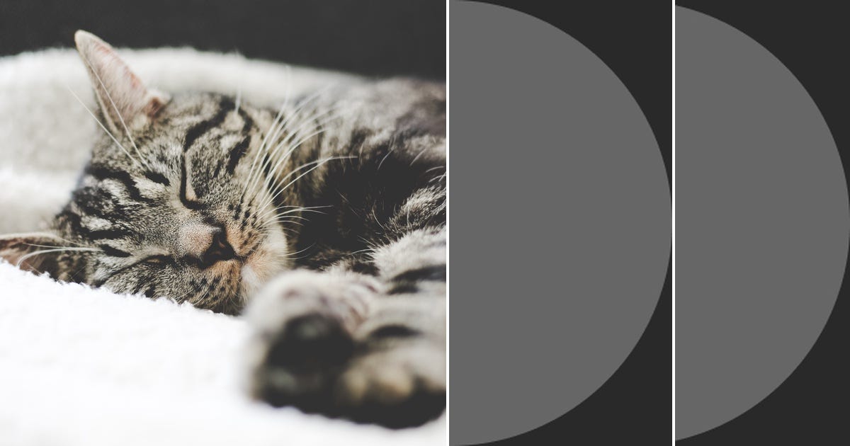 List: Medium Tools | Curated by Fikunmi Ajayi-Peters | Medium