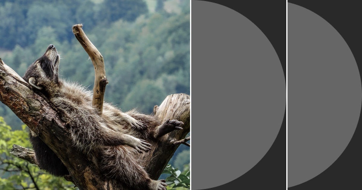 List: Terraform | Curated by Ben Gallagher | Medium