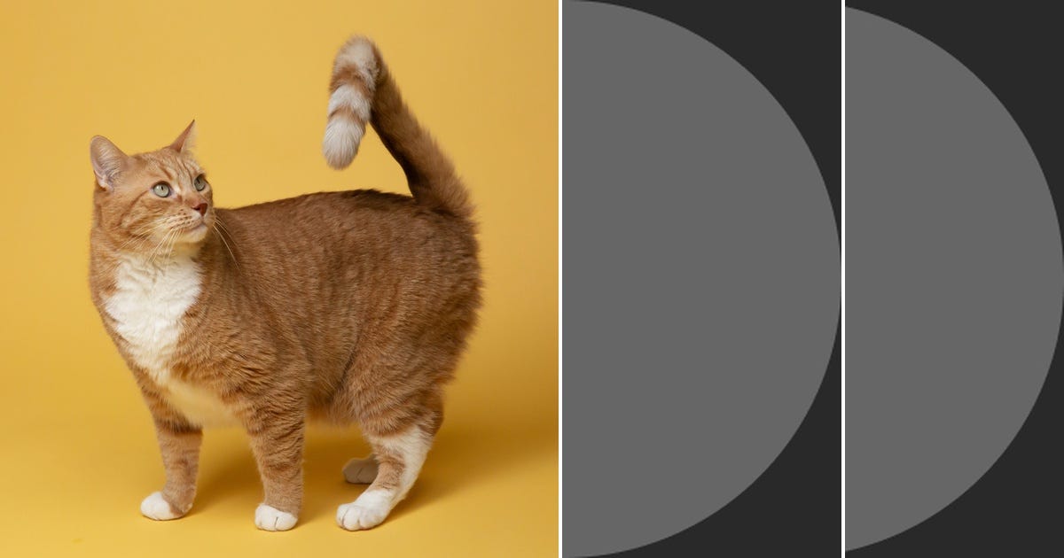 List: Boo Boo Gaa Gaa's Adventures | Curated by Shadows | Medium