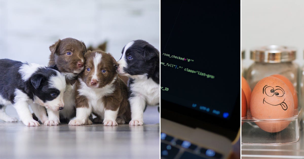 List: Tech • Coding | Curated by Ariane Valle | Medium