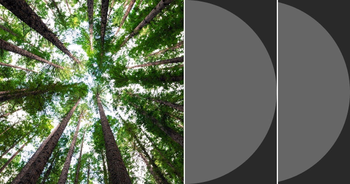 List: being inspiration | Curated by Derek Allgood | Medium
