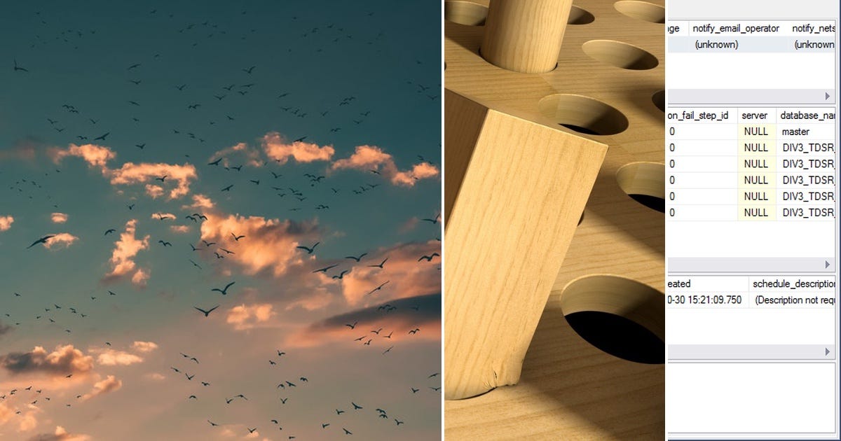 List: MIGRATION | Curated by Ayazbasha | Medium