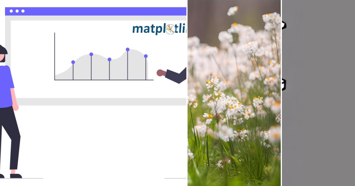 List: NewPython | Curated by Gerald Creager | Medium