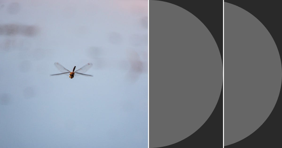 List: NetworkPolicy | Curated by Gary Chen | Medium