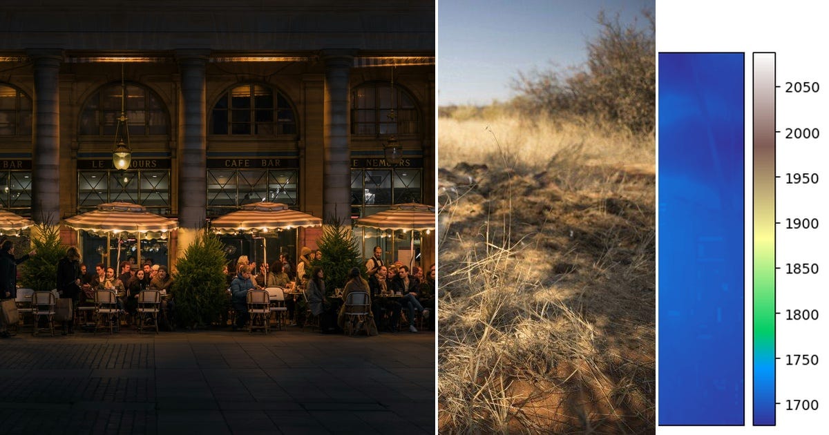 List: Capstone - Data and Geospatial Analysis | Curated by Courtenay ...