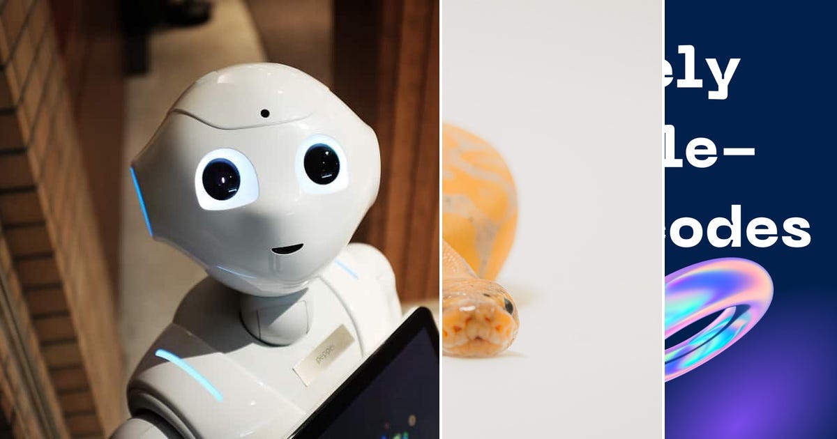 List: Python | Curated by Tkachenko Aat | Medium