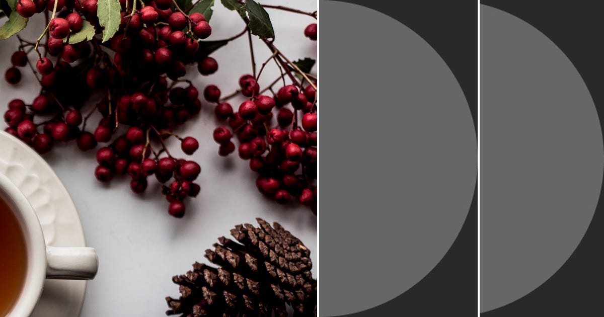 List: FnB | Curated by Nayaka | Medium