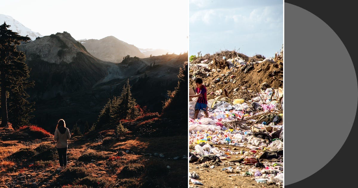 List: Ecology | Curated by John Amadeus | Medium