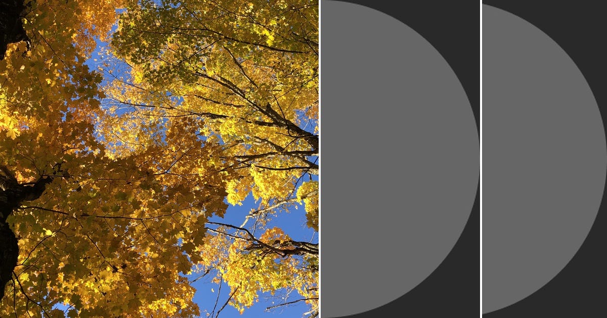 List: Delights | Curated by Maya Alexis🐉 | Medium