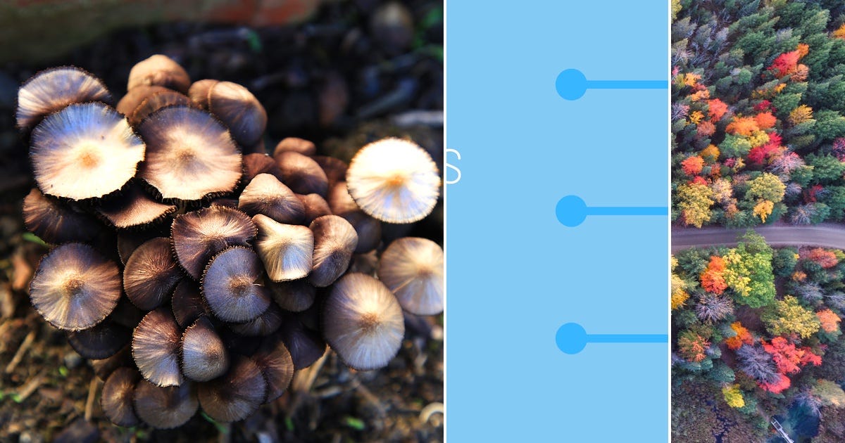 List: clustering categoriale | Curated by Antonio Mosca | Medium