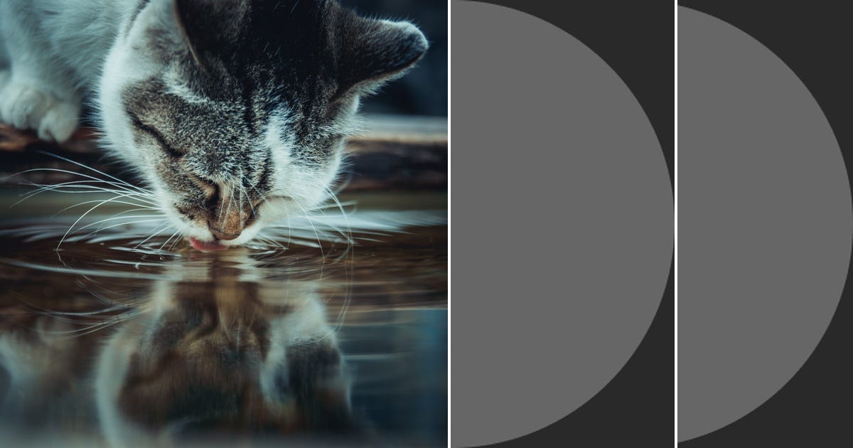 List: Reactjs | Curated by Manoj Malviya | Medium