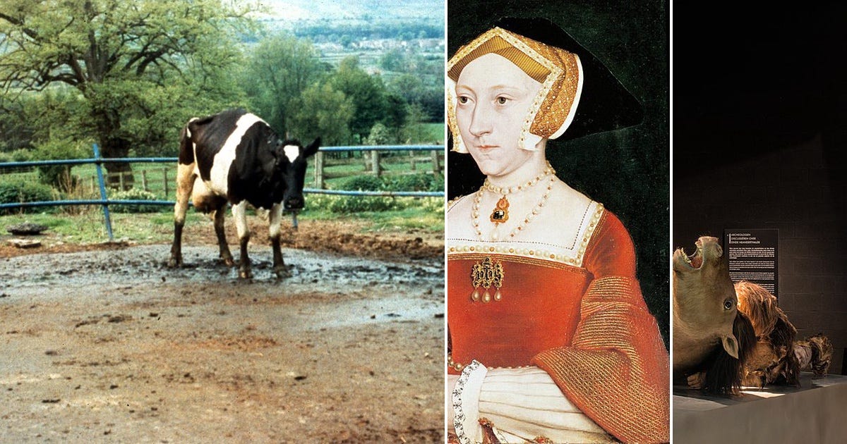 List: History - miscellaneous | Curated by Elisa Bird | Medium