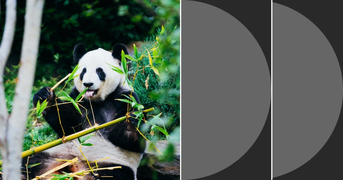 List Python Sql Curated By Devendiranreddy Medium