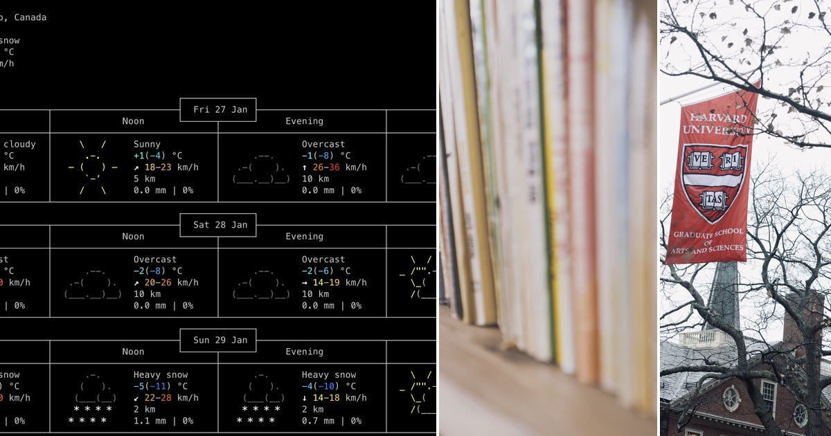 List: Premium Articles | Curated by Fish's Framework | Medium