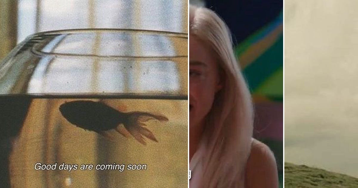 List: alexa | Curated by alexa | Medium