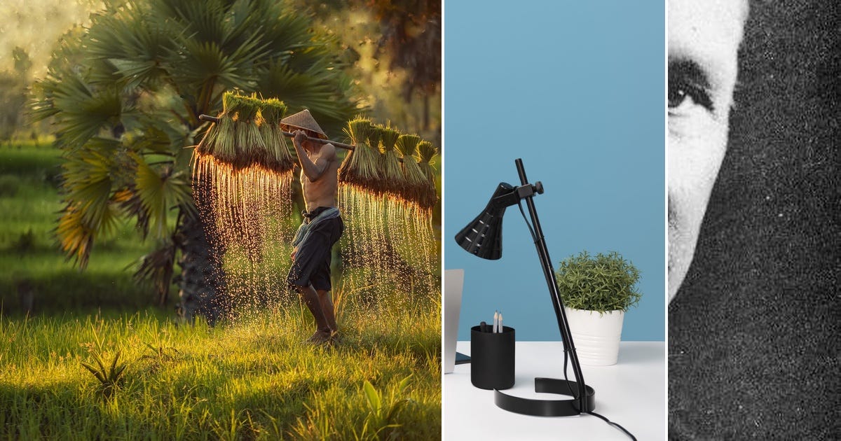 List: Favorites | Curated by Omar Rahman | Medium