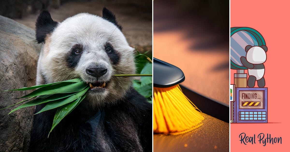 List: Pandas | Curated by CSPallapu | Medium