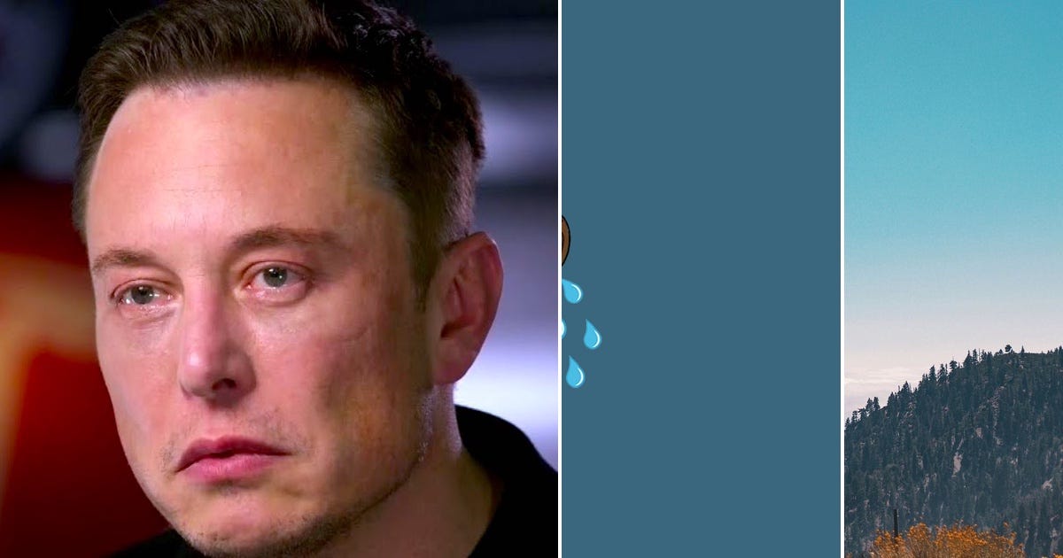 List: RPC The Risk Trilogy | Curated by Robert Peach | Medium