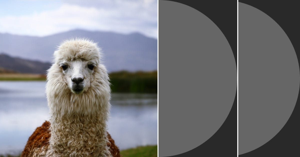 List: Llama Model | Curated by Rakesh Sahay | Medium