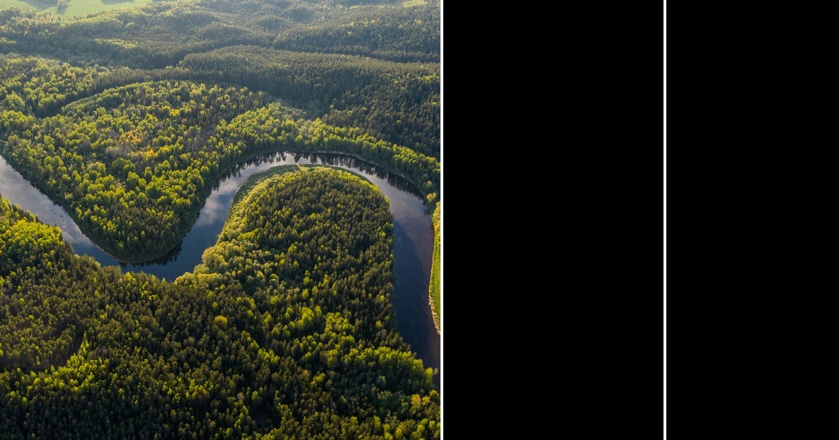 List: ertyui | Curated by Miguel | Medium