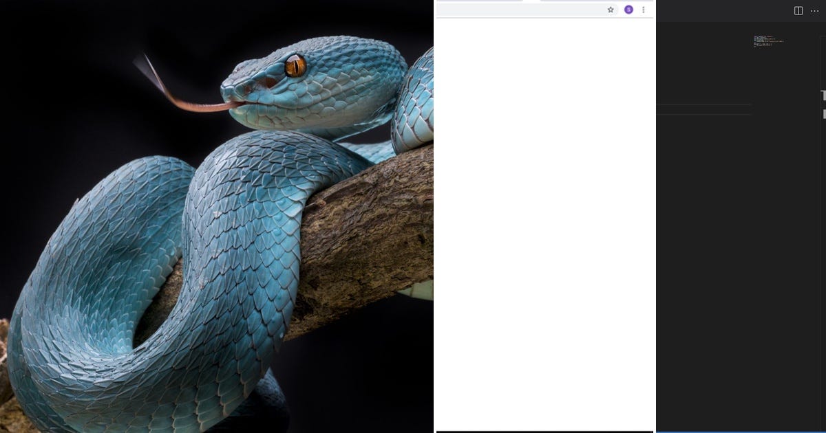 List: conda | Curated by Masterworks | Medium