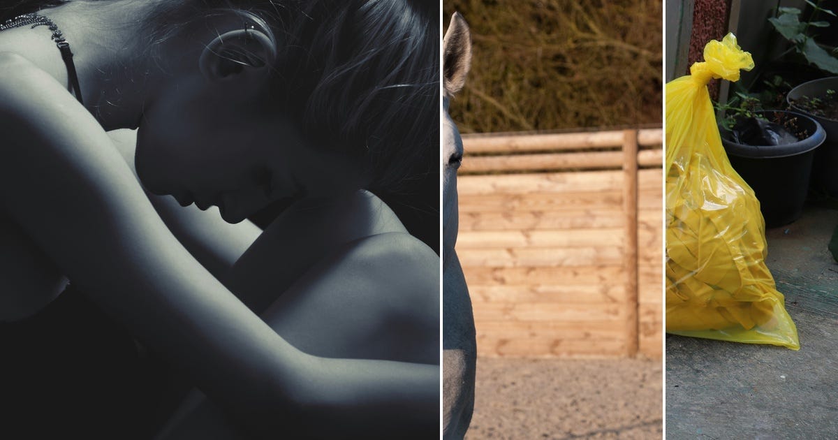 List: Ageing | Curated by Steve McCollum | Medium