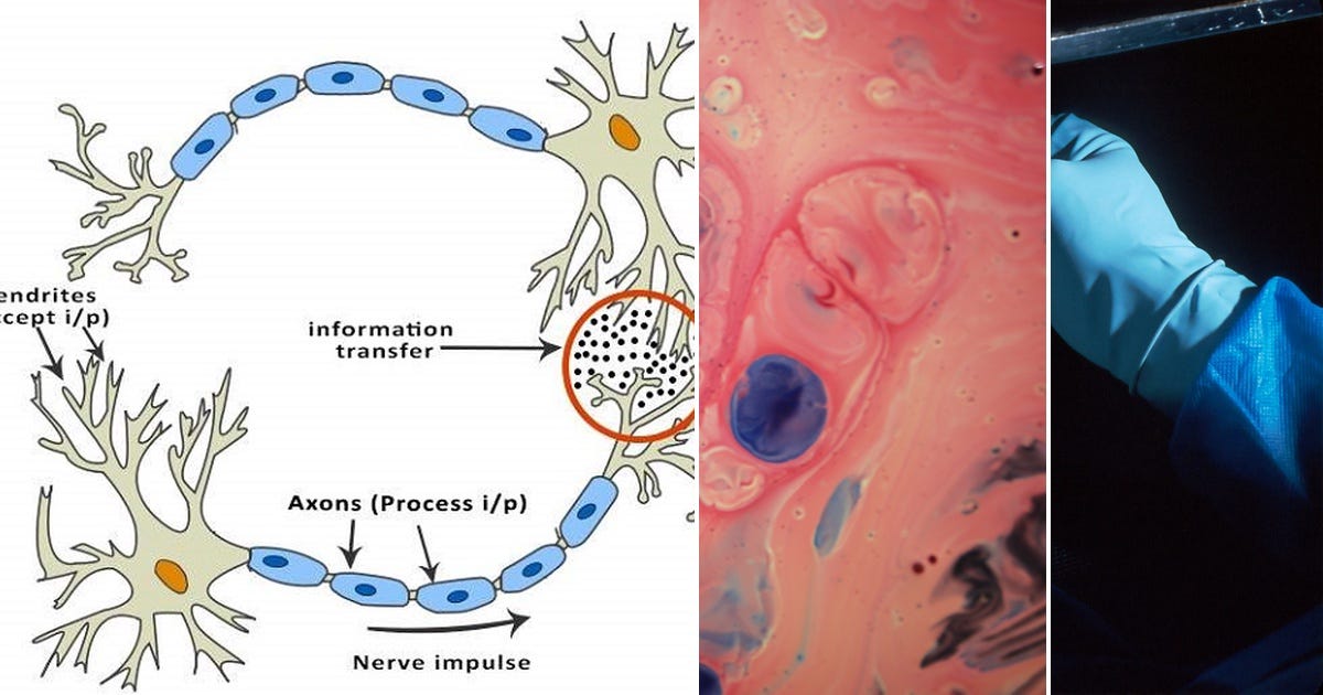 List: ham10000 | Curated by Oklearninglow | Medium