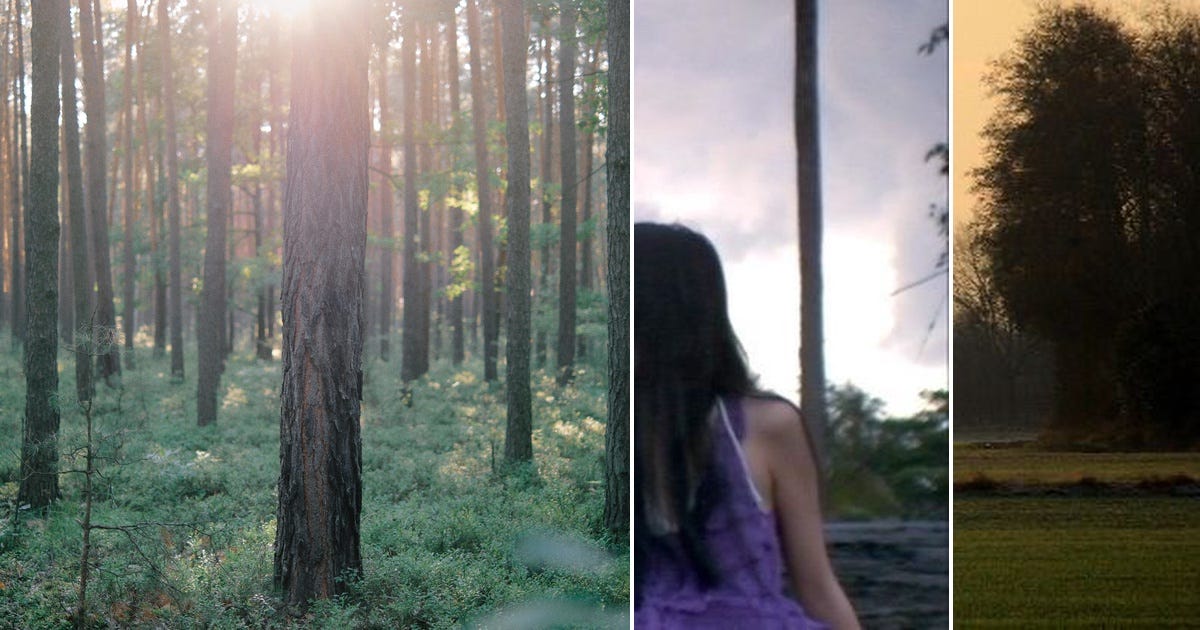 List: 🩹 ️ | Curated by ruthy | Medium